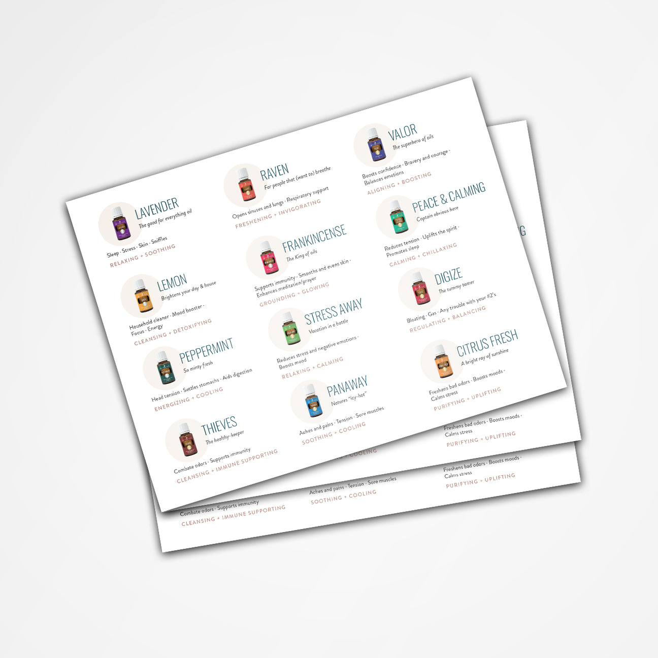 Categories – The Essentials Shop